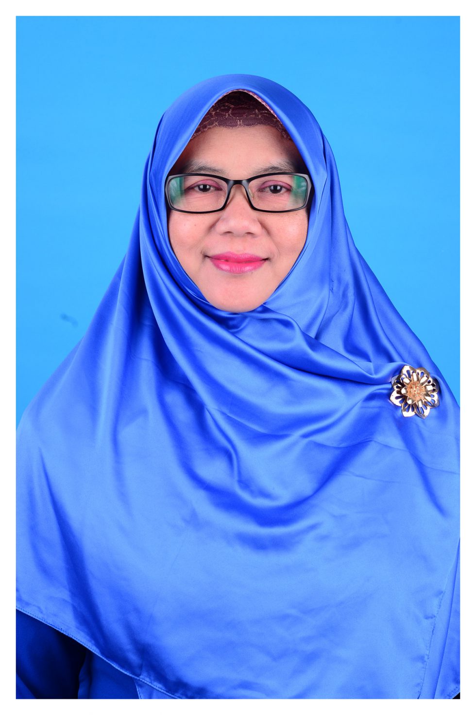 S1 - DKV - UDINUS - Universitas Dian Nuswantoro